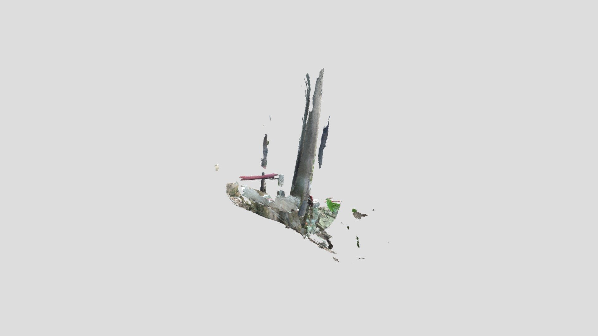 1. Aleurites moluccana . Candlenut Tree - 3D model by DLA (@cdla2022 ...