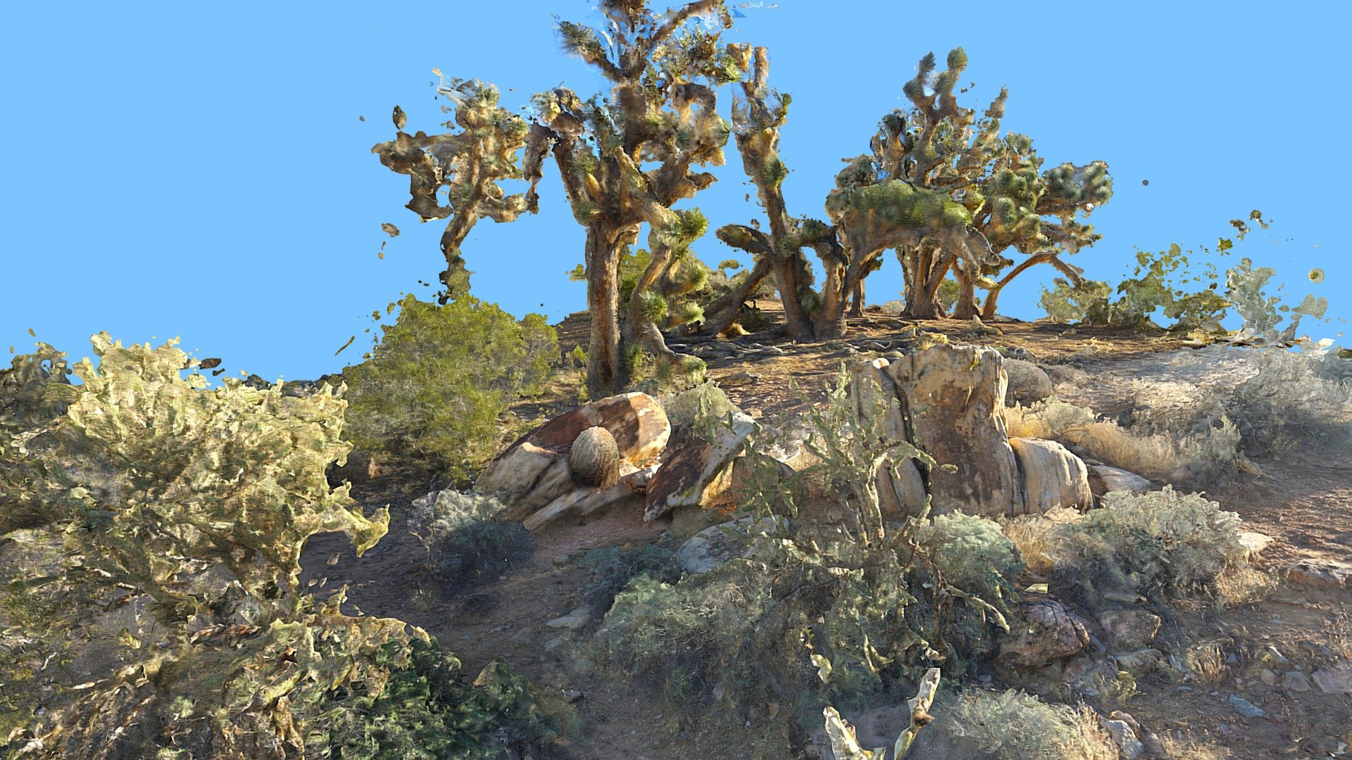 Joshua Trees textured - 3D model by John Toeppen (@toeppen) [0f70acd ...