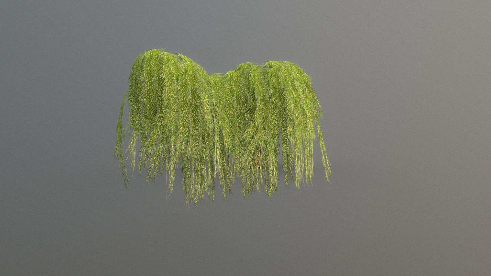Low Poly Willow Tree - Buy Royalty Free 3D model by 3dia [0f73280 ...