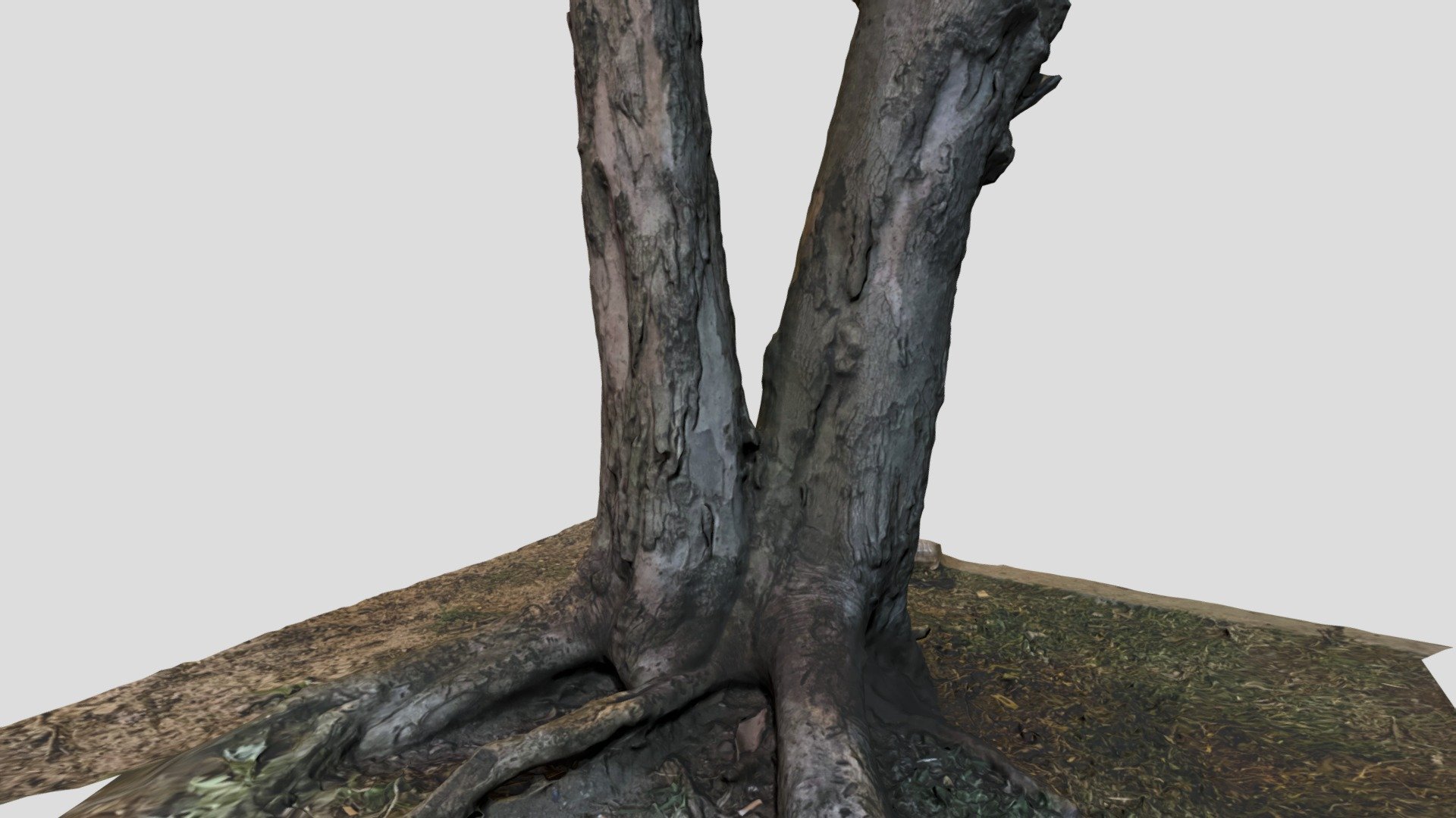 SPLIT TREE - Download Free 3D model by Jimmy Gunawan (@jimmygunawan ...