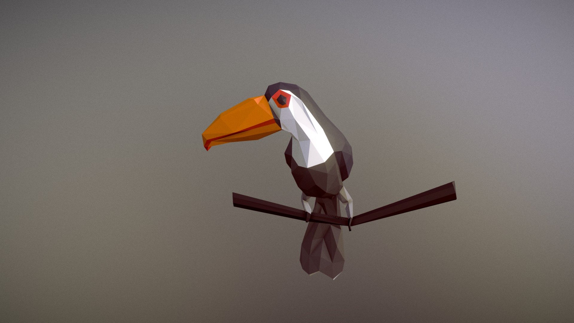 Toucan low poly animation - 3D model by TonyGeneralist (@kamilot.2292 ...