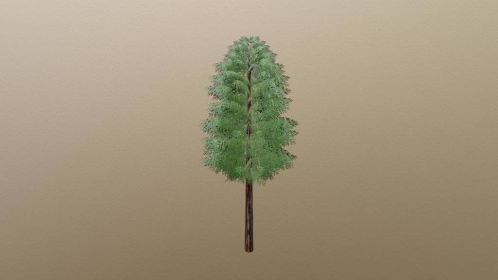 Fir Tree Mesh 01 - 3D model by Bradley.Chiles [0f79646] - Sketchfab