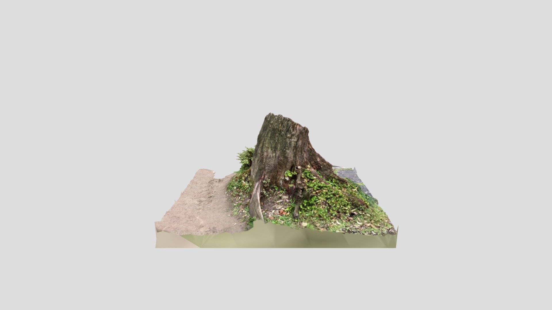 Korea Dead Tree Root - Download Free 3D model by muhnoocha [0f7bd81 ...