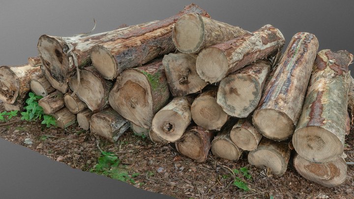 Logging 3D models - Sketchfab