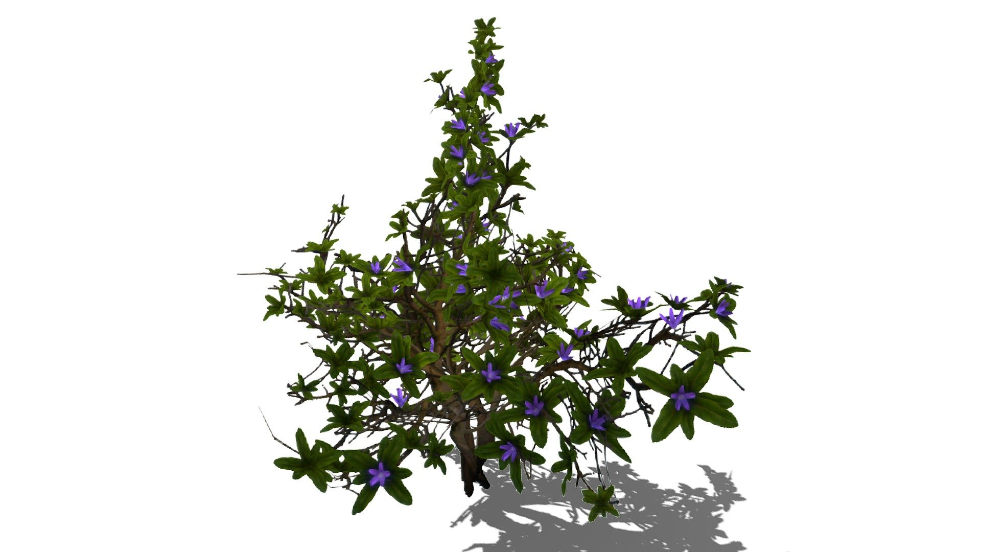 Bush - 3D model by Studio Lab (@studiolab.dev) [0f80def] - Sketchfab