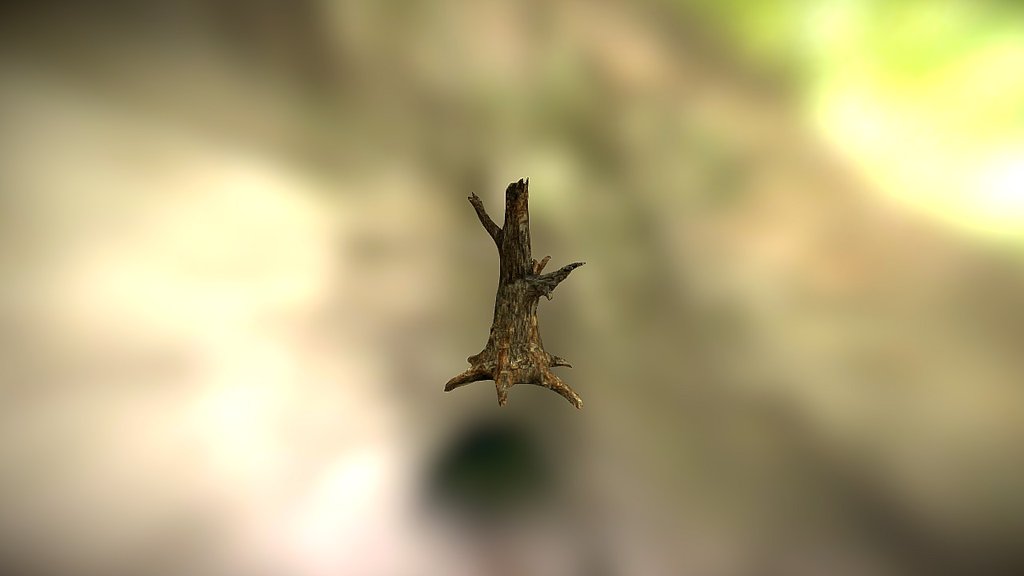 Prop Dead Tree 01 NOCOLLIDER - 3D model by elskeeto [0f86bcf] - Sketchfab