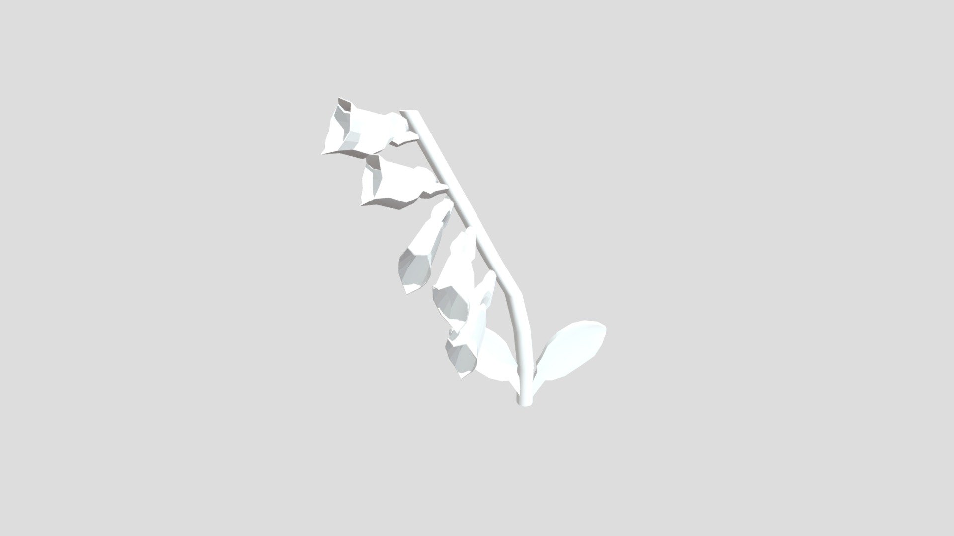 Foxglove - 3D model by Lucy Weller (@LWGAV) [0f87a25] - Sketchfab