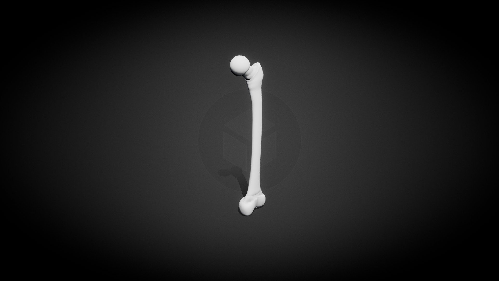 Femur - Download Free 3D model by 3Dec.o [0f89a8e] - Sketchfab