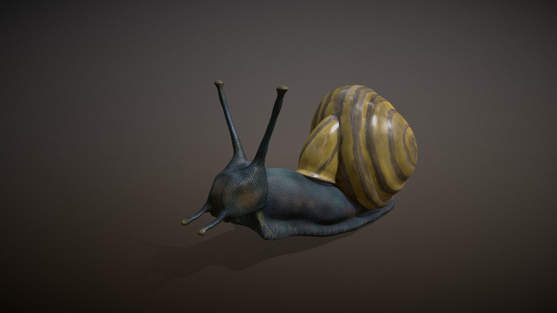 snail - Download Free 3D model by akiko_yoshino [0f89fc7] - Sketchfab