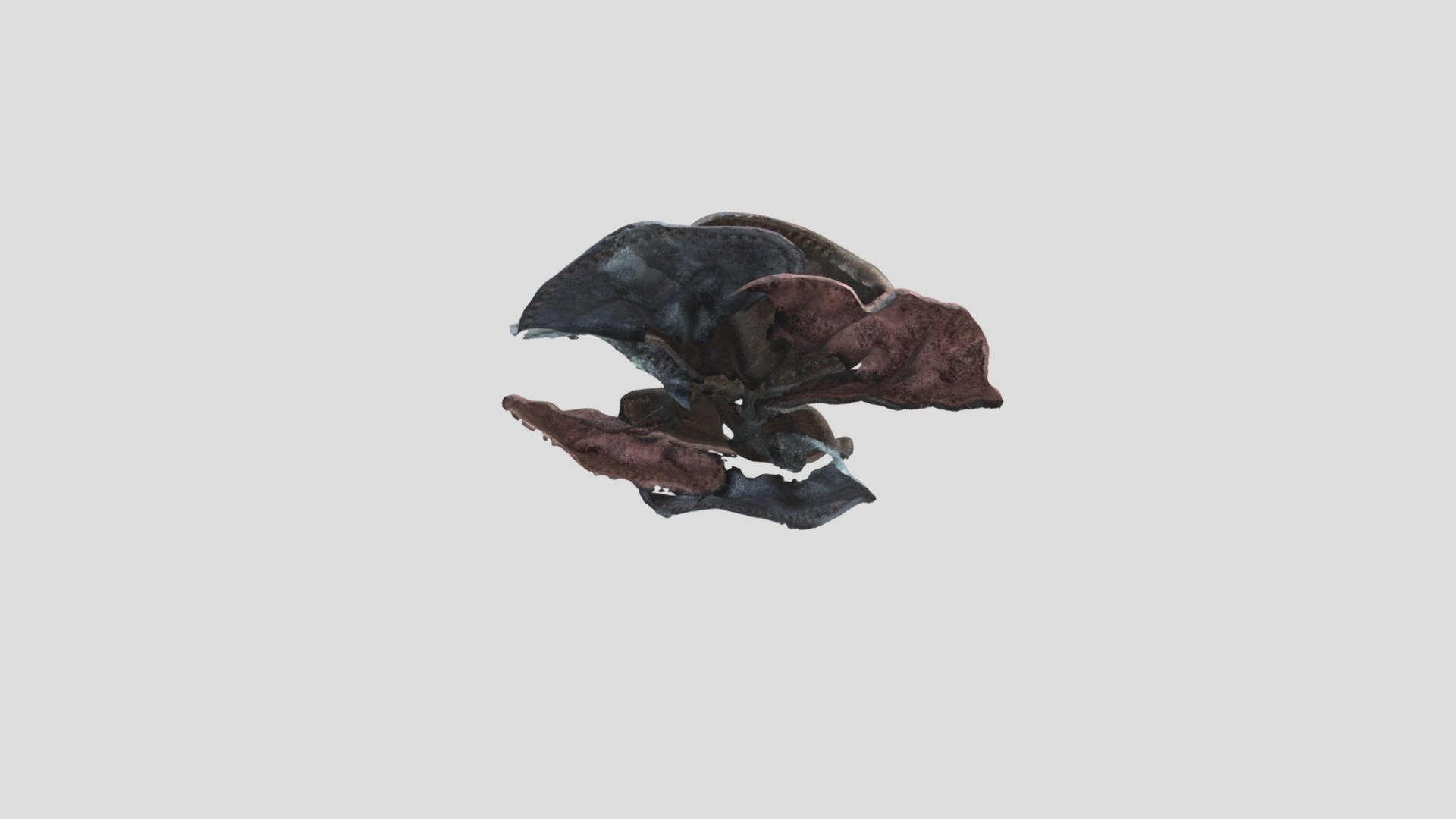 Lazo Final - Download Free 3D model by mateomodelistas (@luismateoan ...