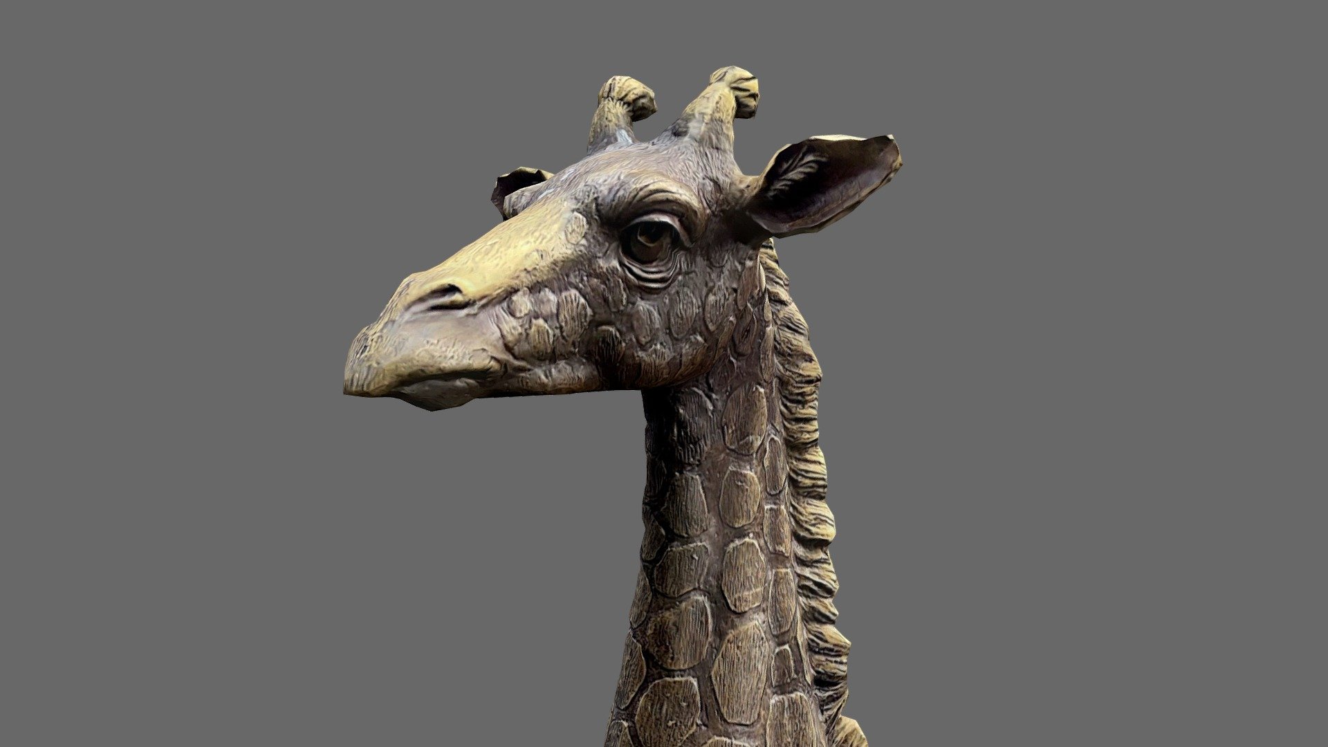 Baby Giraffe - Download Free 3D model by Andrei Alexandrescu (@Andrei ...