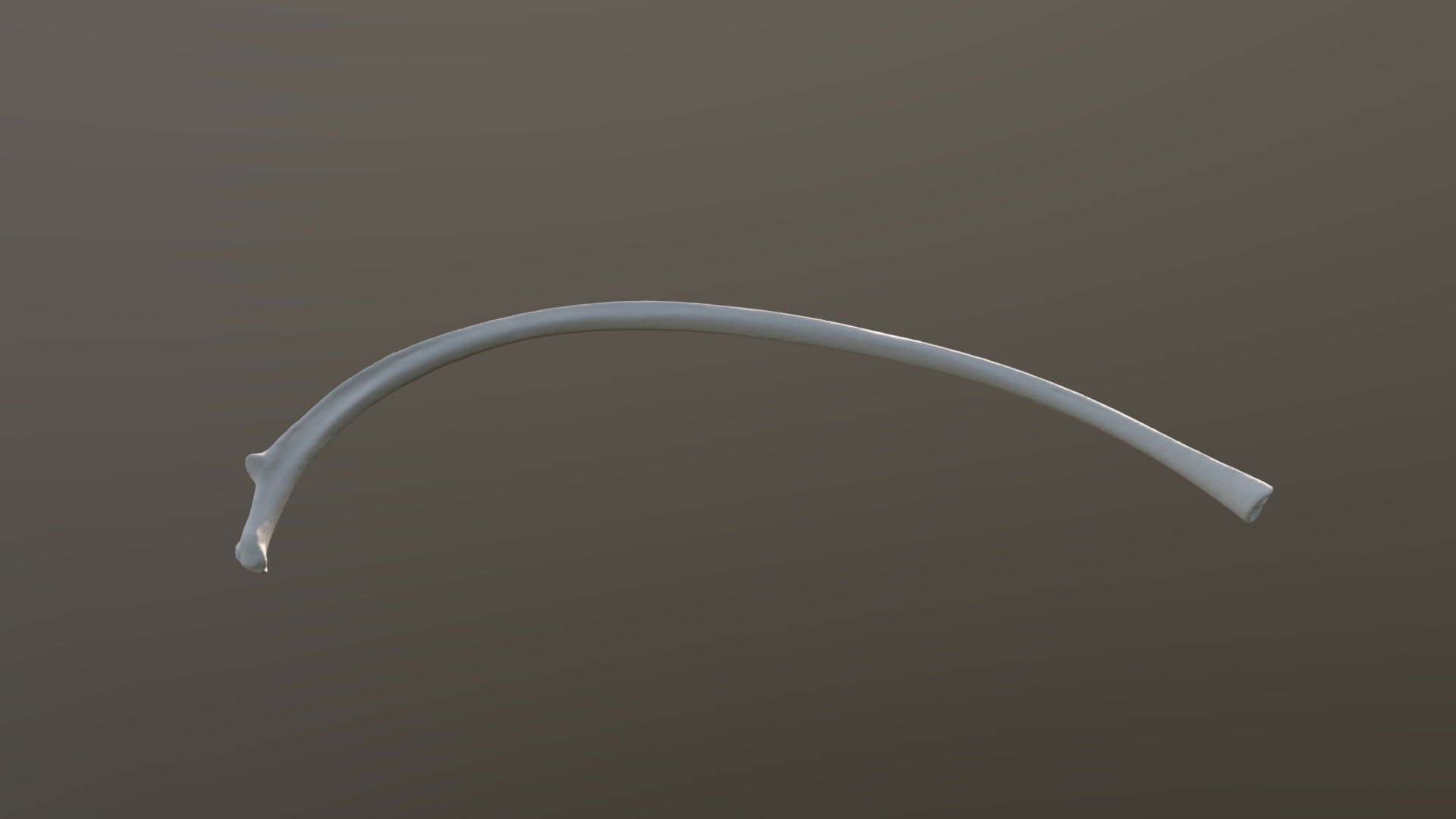 Coyote Right Intermediate Rib - 3D model by Megan (@masaunde) [0fa8cb4 ...