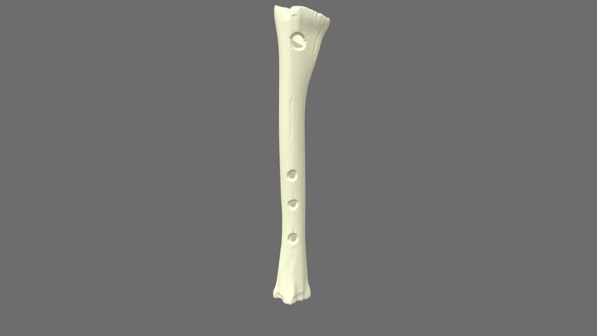 Archeological flute - 3D model by tomviolleau [0fa90ec] - Sketchfab