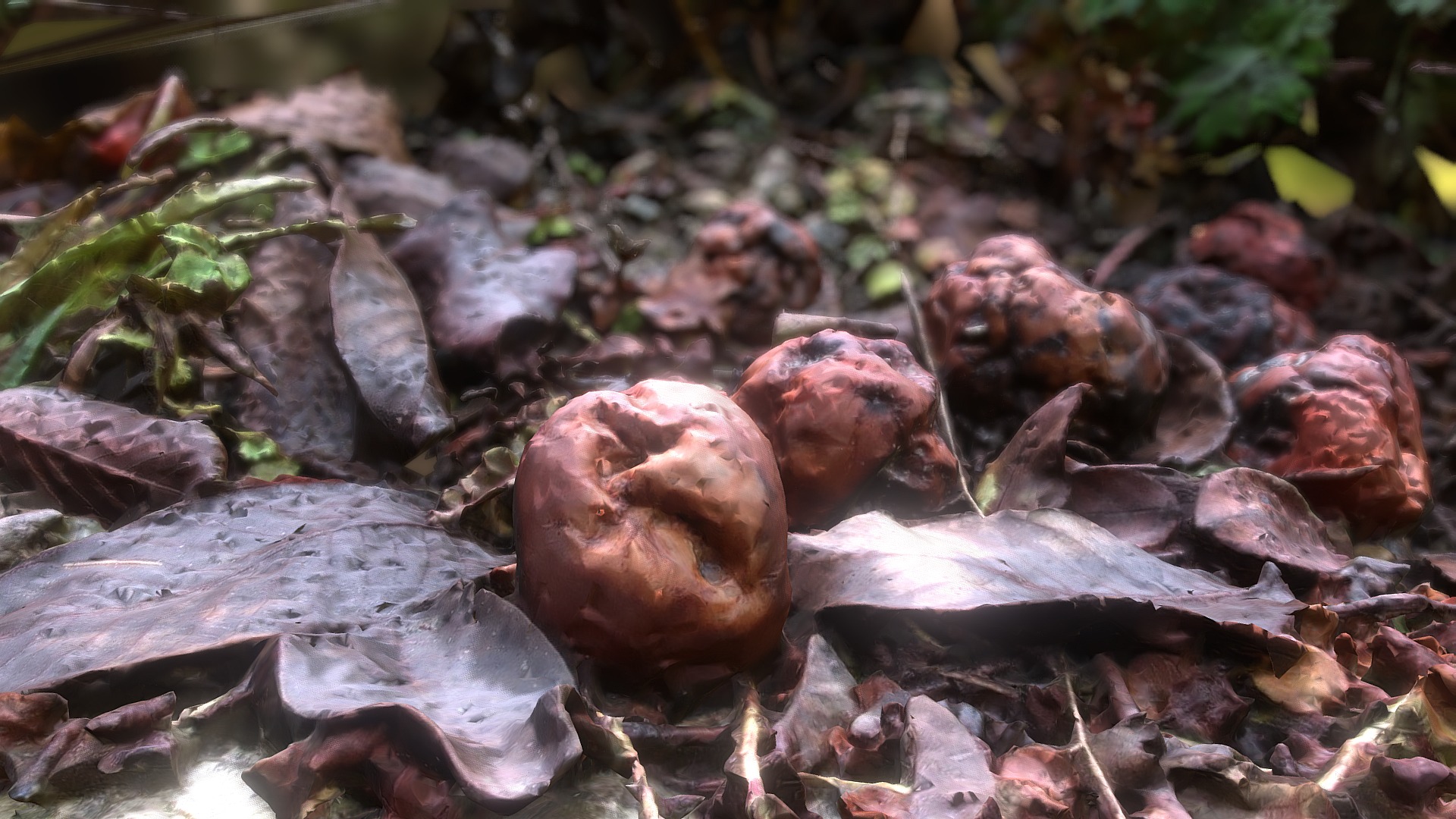 Rotten apples on ground. FREE ! - Download Free 3D model by roxyjungle ...