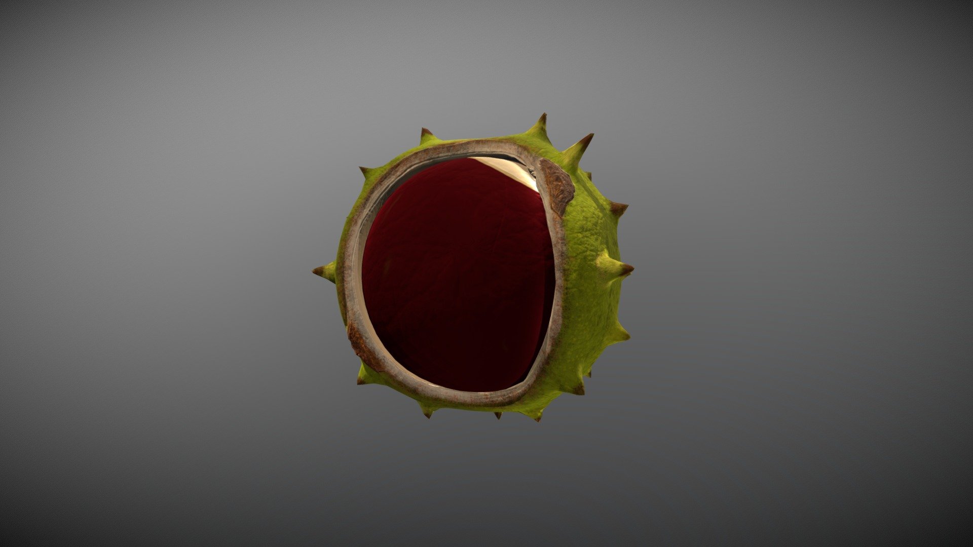 Conker - 3D model by mattydidsomething [0fb6040] - Sketchfab