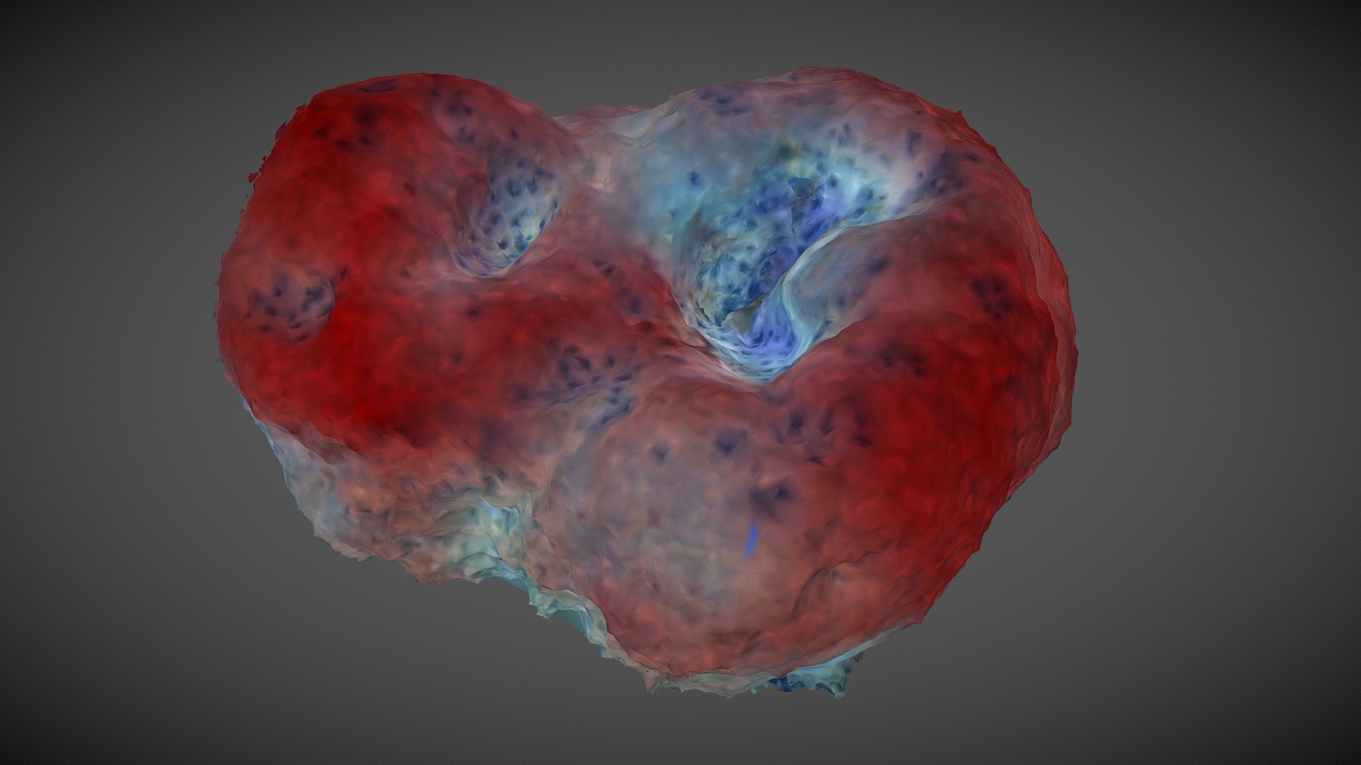 Monitoring massive sponges: the S. foetidus case - 3D model by Reef ...
