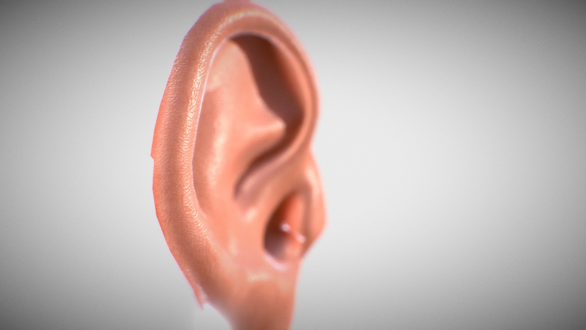 3D Ear - Download Free 3D model by Gen (@PA_Studios) [0fba0d3] - Sketchfab