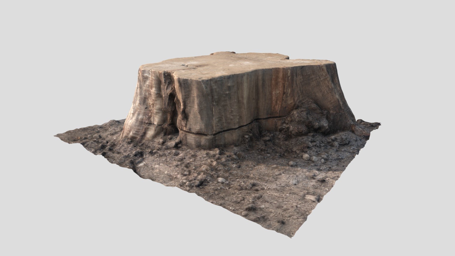 Stump - Download Free 3D model by Kvazar [0fba5b5] - Sketchfab