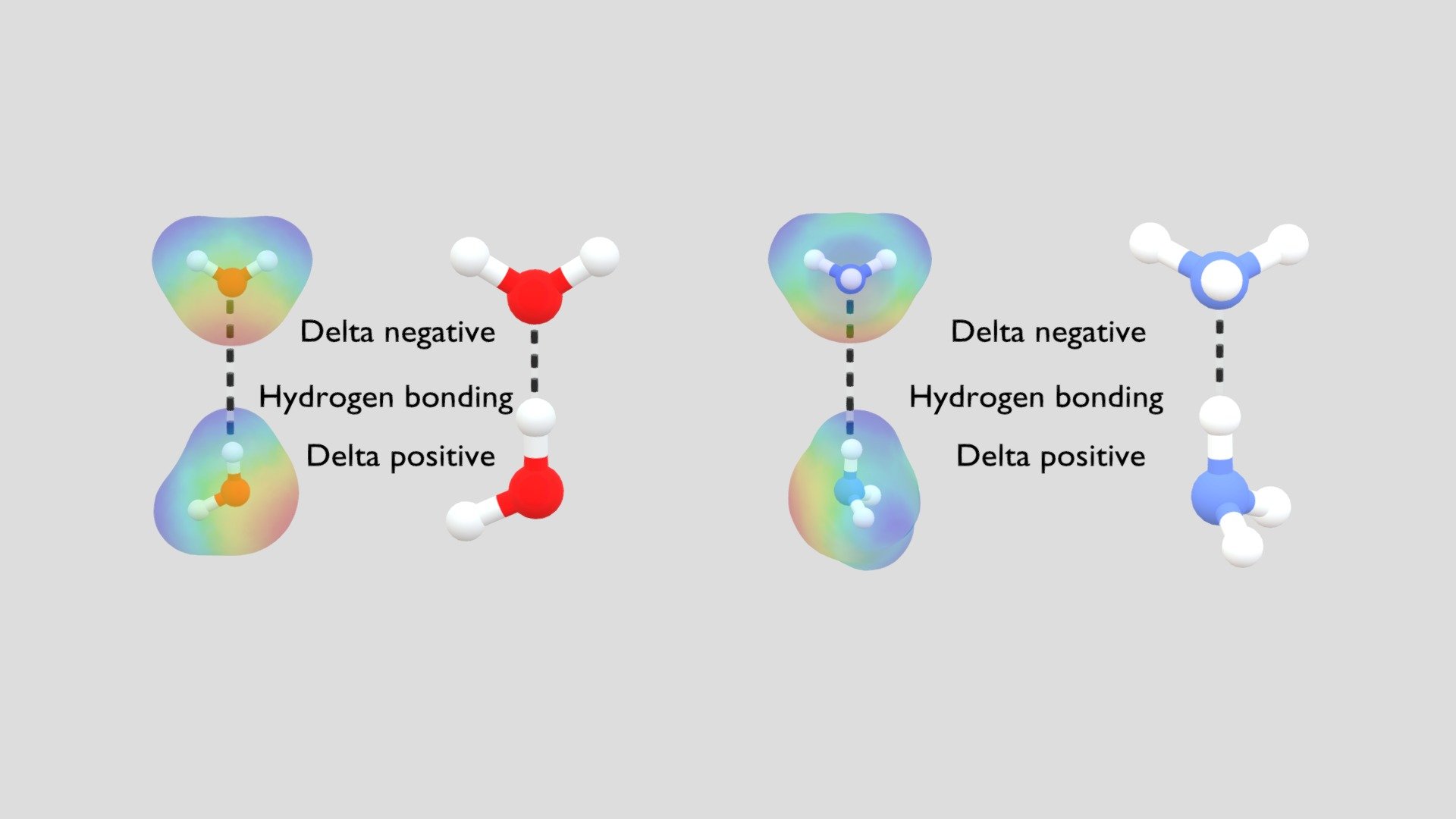 Hydrogen Bonding water and ammonia - Download Free 3D model by Vera4Art ...