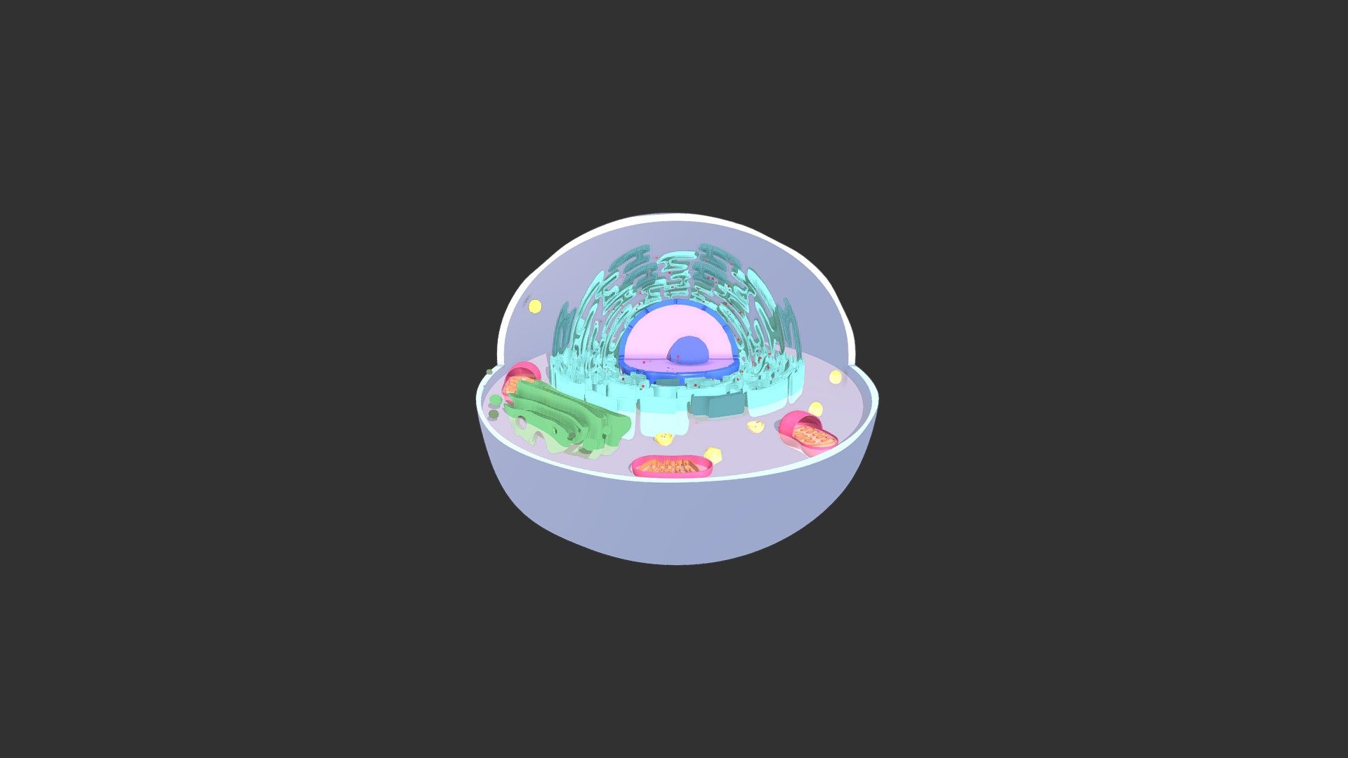 CELL - 3D model by amritarobertson [0fbfb07] - Sketchfab