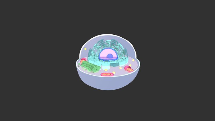 Ribosomes 3D models - Sketchfab