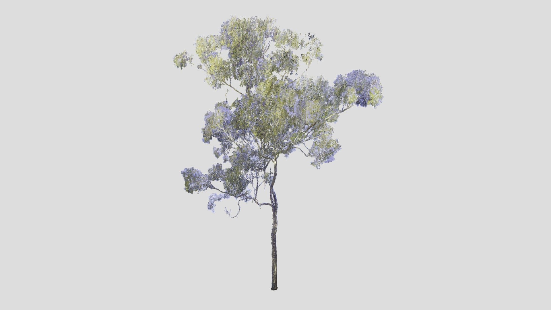 Tree Point Cloud - Buy Royalty Free 3D model by magnum_opus (@tree ...