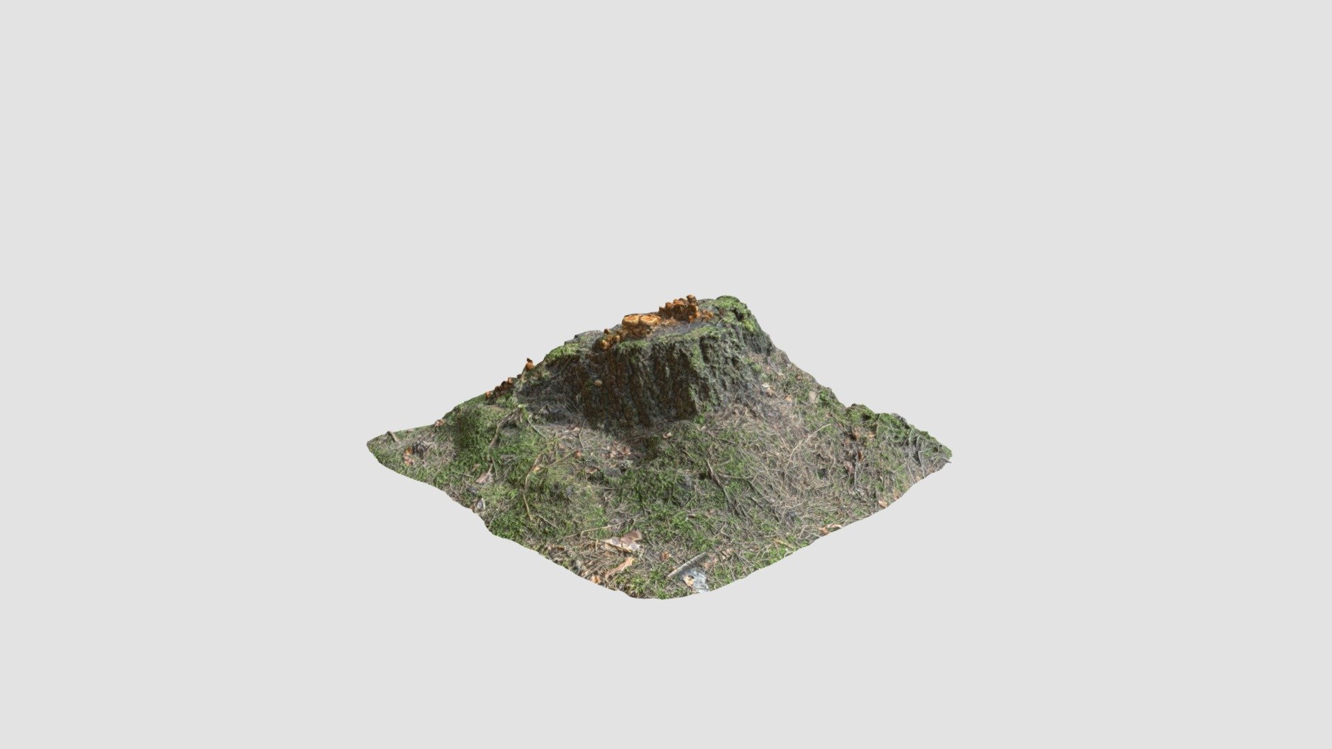 forest element - Buy Royalty Free 3D model by Evermotion [0fc8bfe ...