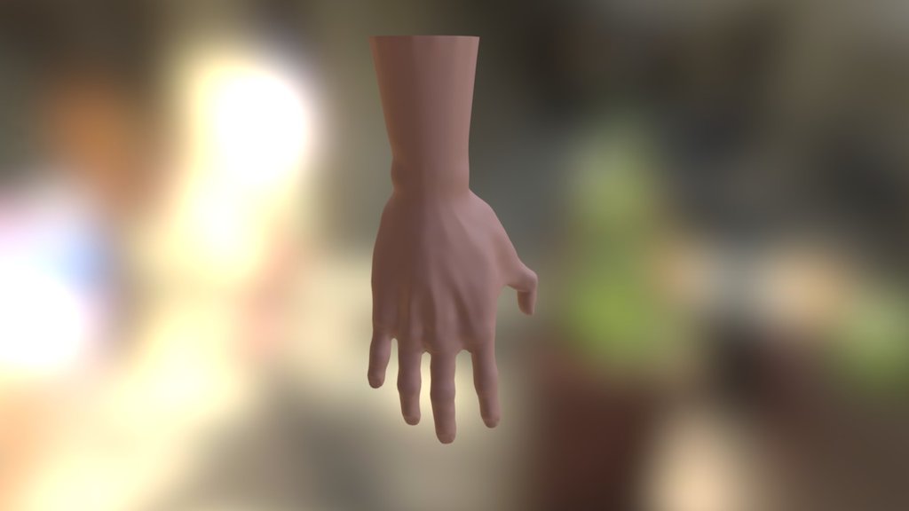 Hand - 3D model by daepus [0fc8f79] - Sketchfab