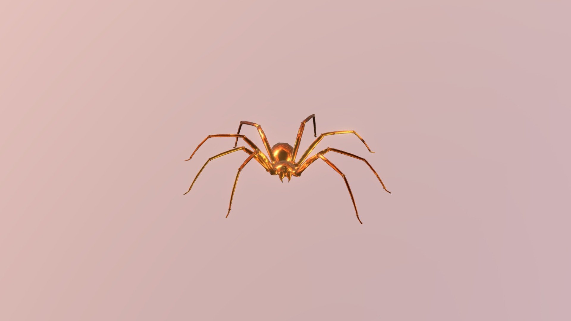 Spider - 3D model by janelysalazar [0fd5c22] - Sketchfab