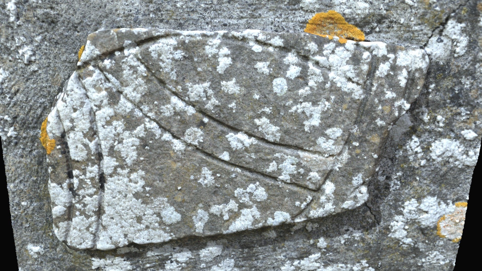 Gallen Cross-Slab (OF014-029079-) - Download Free 3D model by Offaly ...