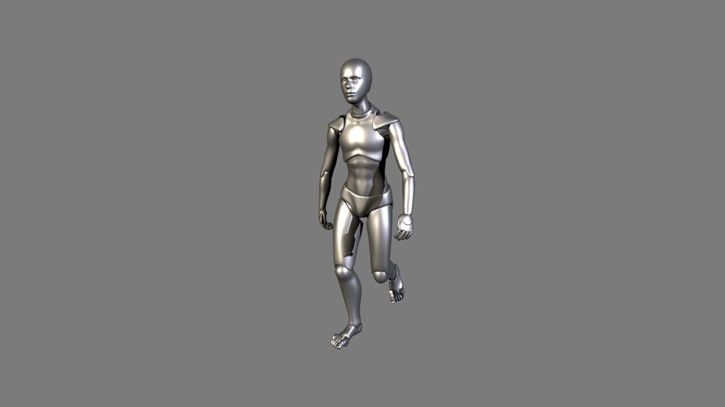 Animation Rigged - A 3D model collection by Seeky23 - Sketchfab