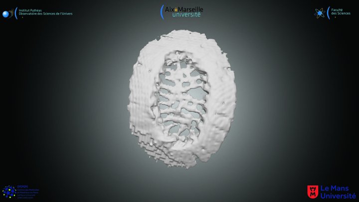 Plankton 3D models - Sketchfab