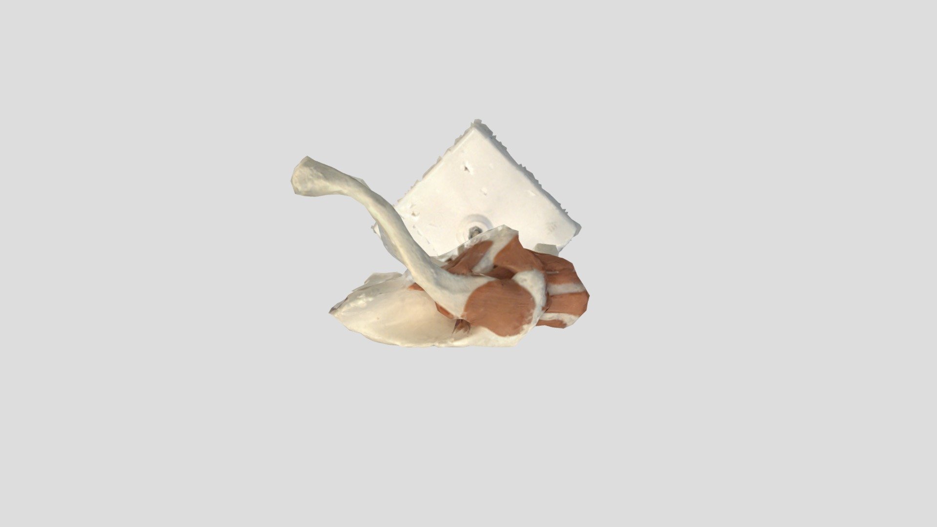 shoulder - 3D model by cdubs13 [0ffa5a6] - Sketchfab