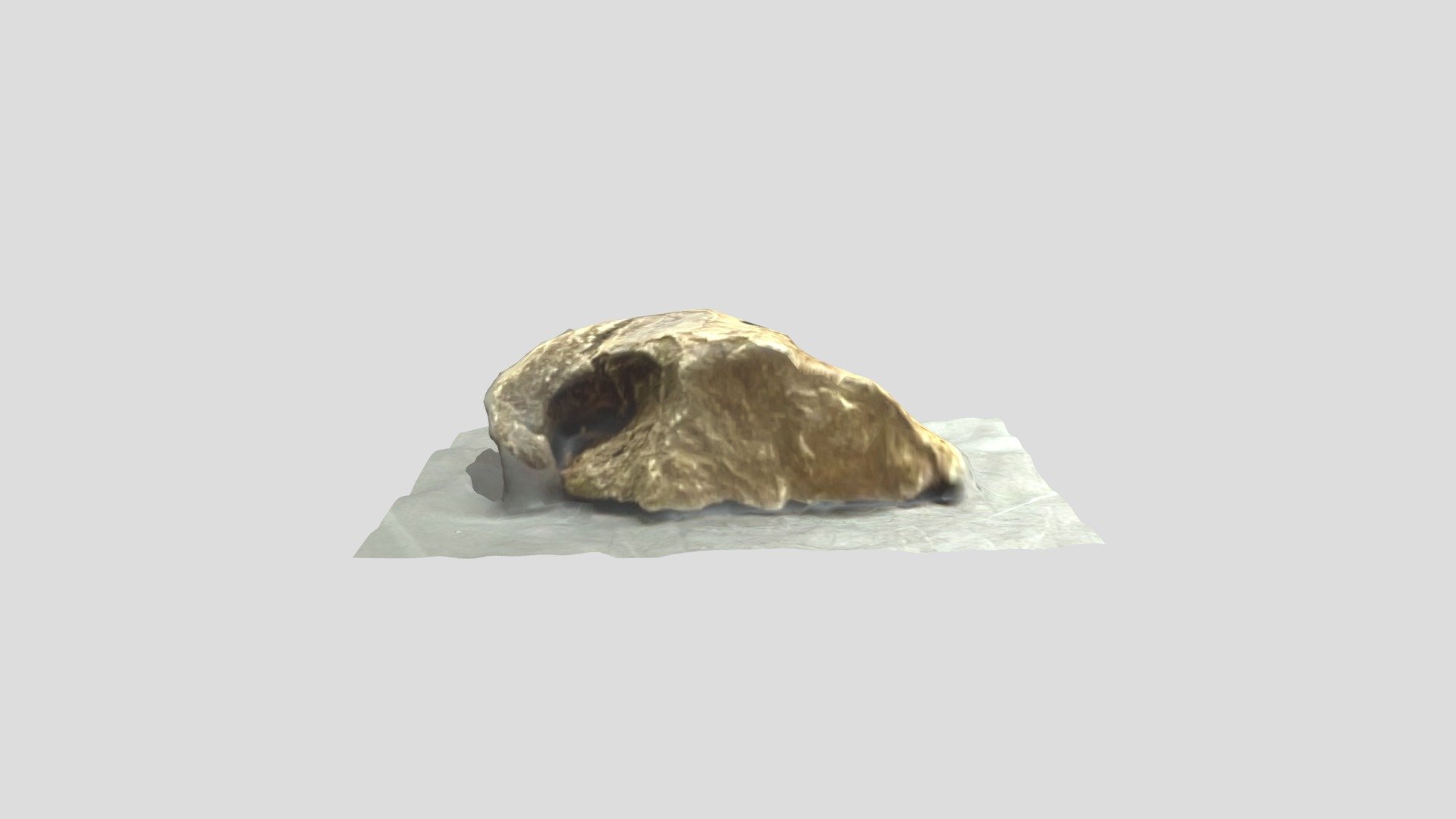 三角貝 Triangular shell - Download Free 3D model by Yanotea [0ffd76a ...