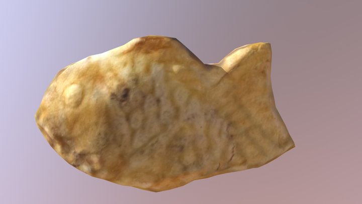 Instant_meshes 3D models - Sketchfab
