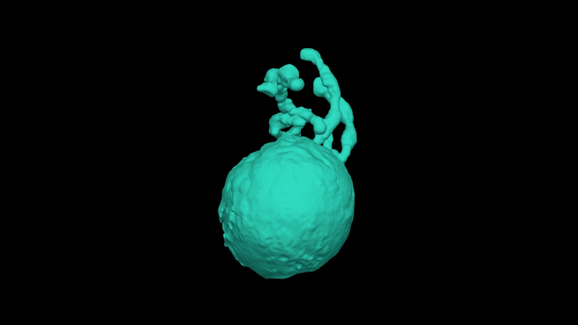 Blob - 3D model by philip.lund_boston [101f2cd] - Sketchfab