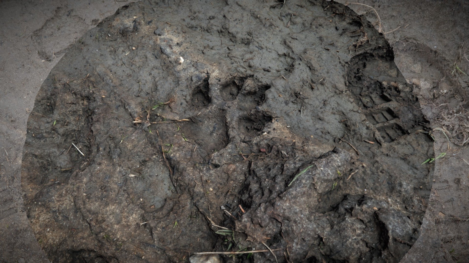 Paw Print - 3D model by gspeed0689 [101f773] - Sketchfab
