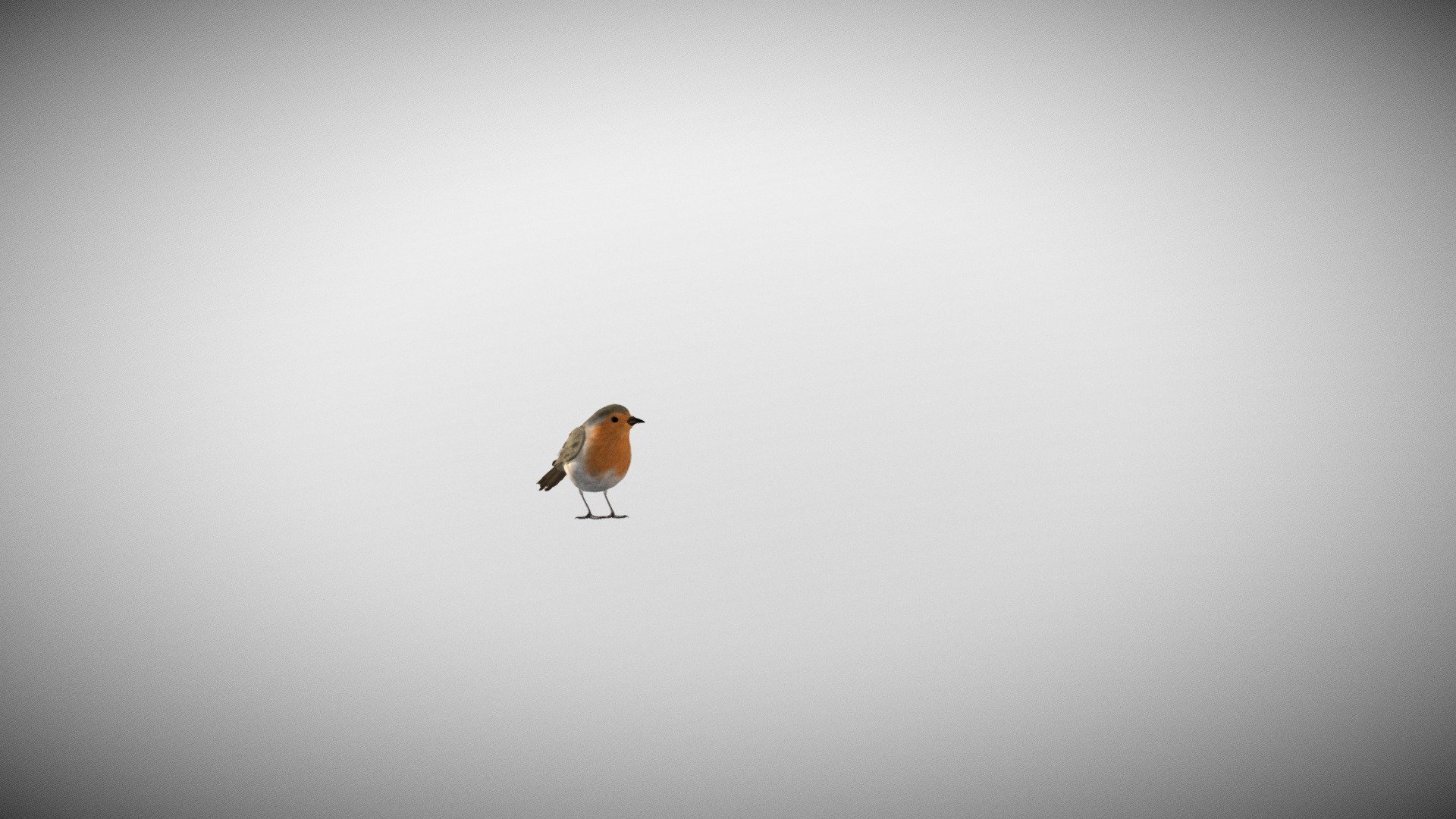 Robin Xmas Bird Animation-1 - Buy Royalty Free 3D model by Vaarg ...