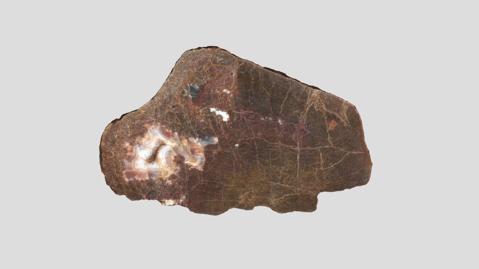 Agatized dinosaur bone fossil (L32) - 3D model by Hong Kong Science ...