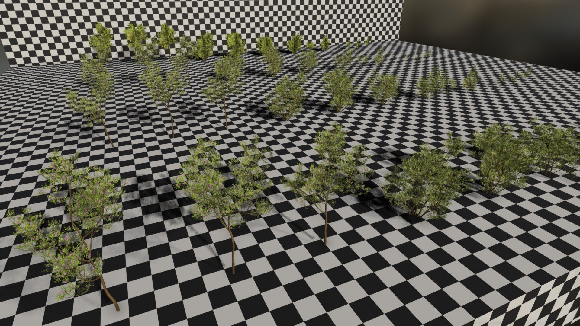 Lilac bush pack (12 vars, LODs, game ready) - Download Free 3D model by ...