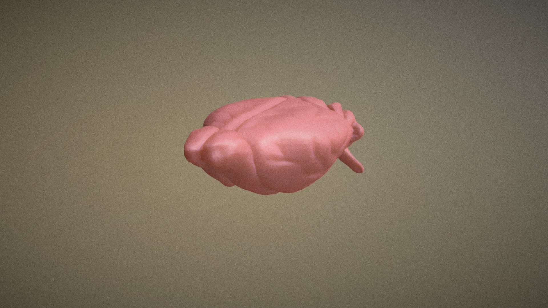 Mouse Brain3D Low Res - 3D model by vikrampalsingh17 [104147a] - Sketchfab