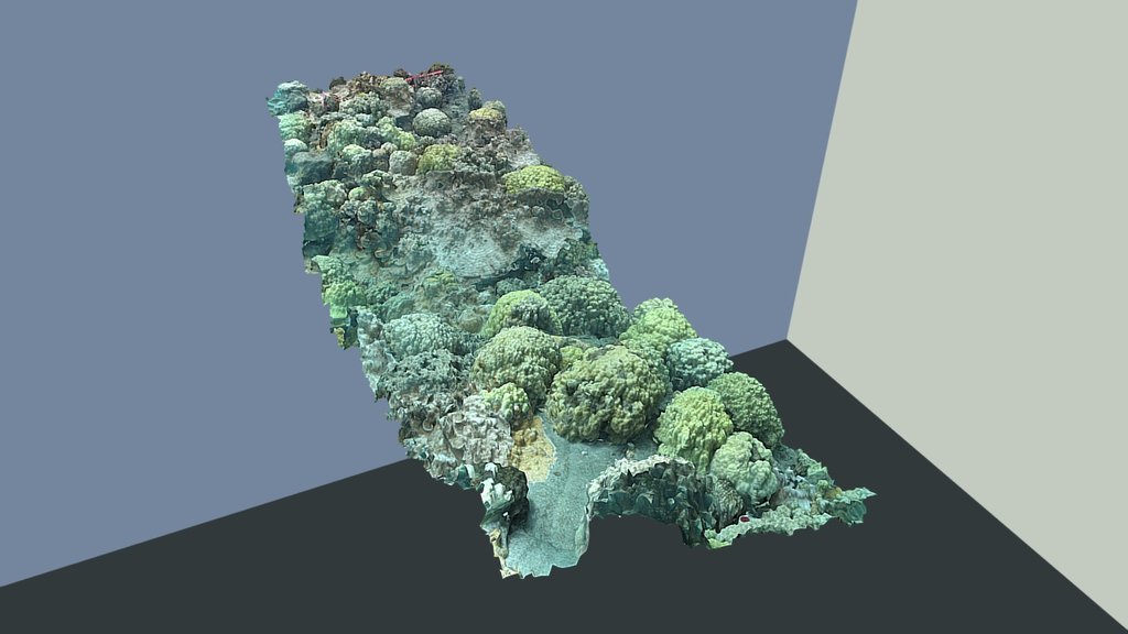 Project - OCEAN ART - A 3D model collection by Victoria ...