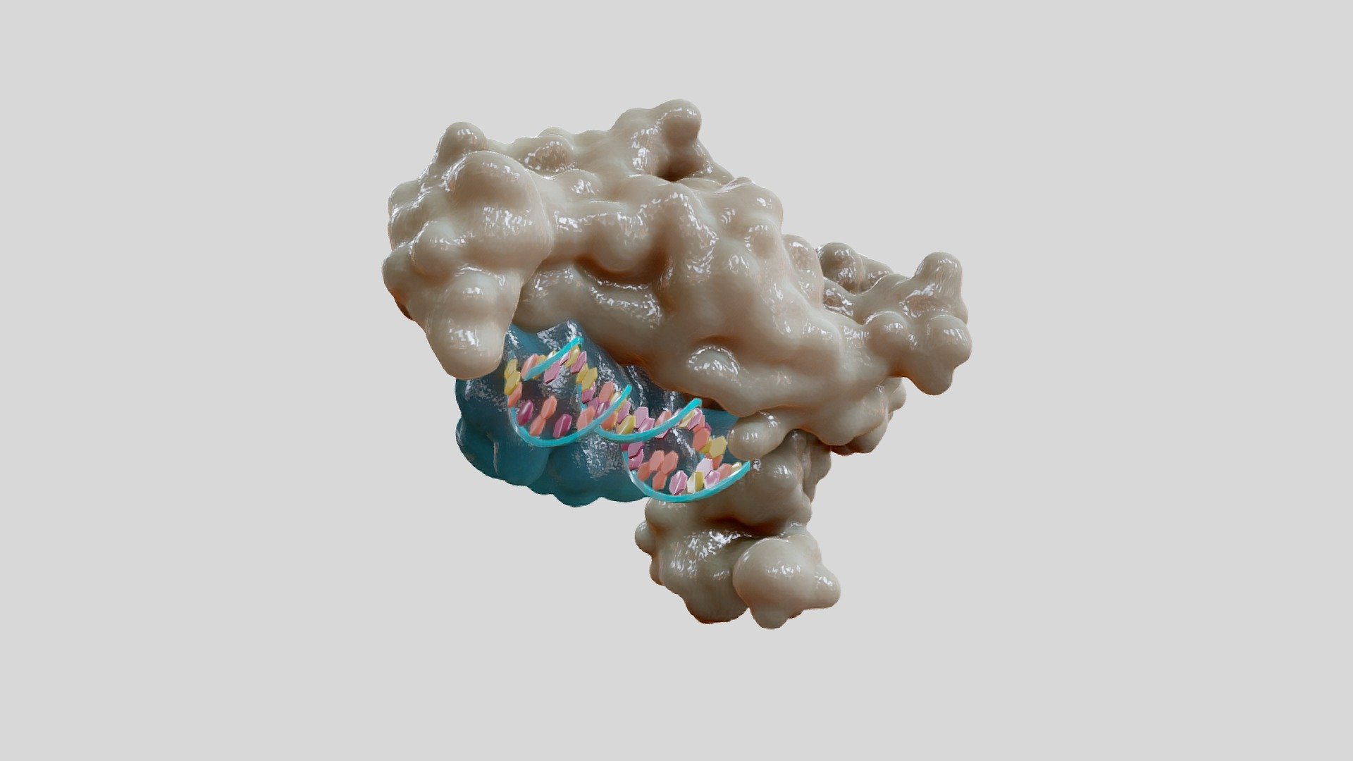 MicroRNAs in translation control - 3D model by 3dtoz [104f586] - Sketchfab