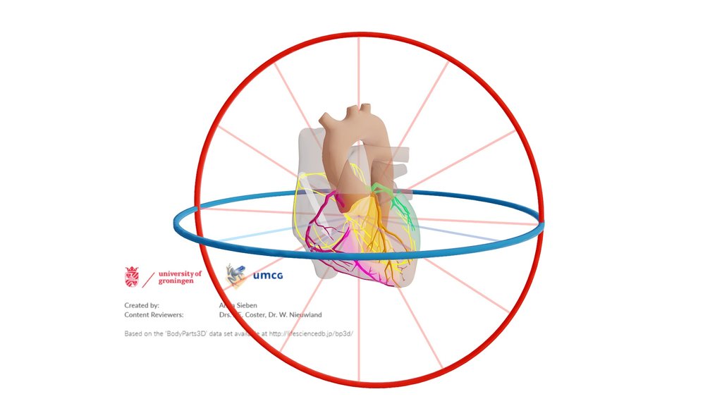 Cardiology - A 3D model collection by alexandrelukasmarreiros - Sketchfab