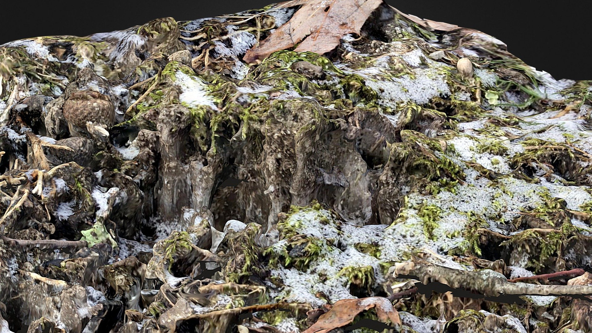 Ground Ice Patch - 3D model by Terrie (@terrielsimmons) [1052e20 ...