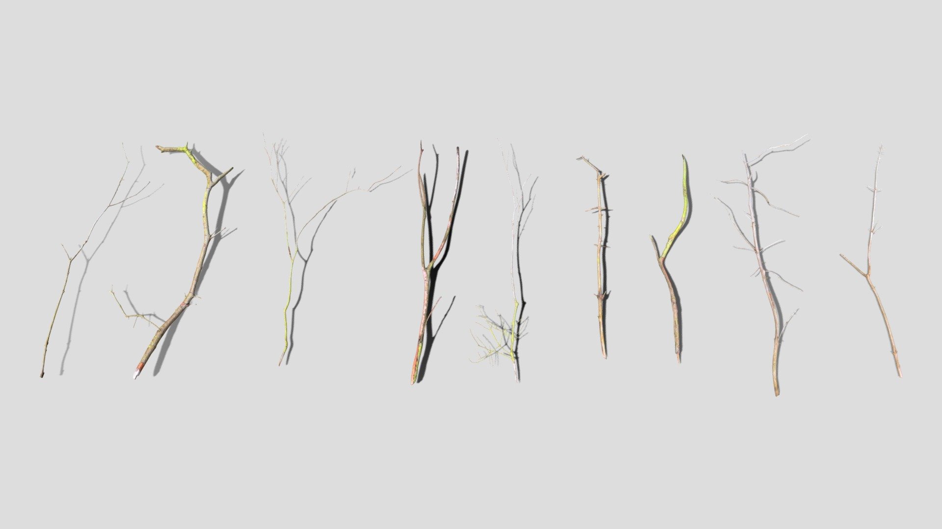 Spruce Twigs - 3D model by kambur [105f25a] - Sketchfab