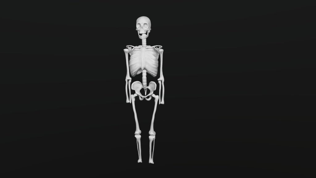 human reference - A 3D model collection by eskatonia - Sketchfab