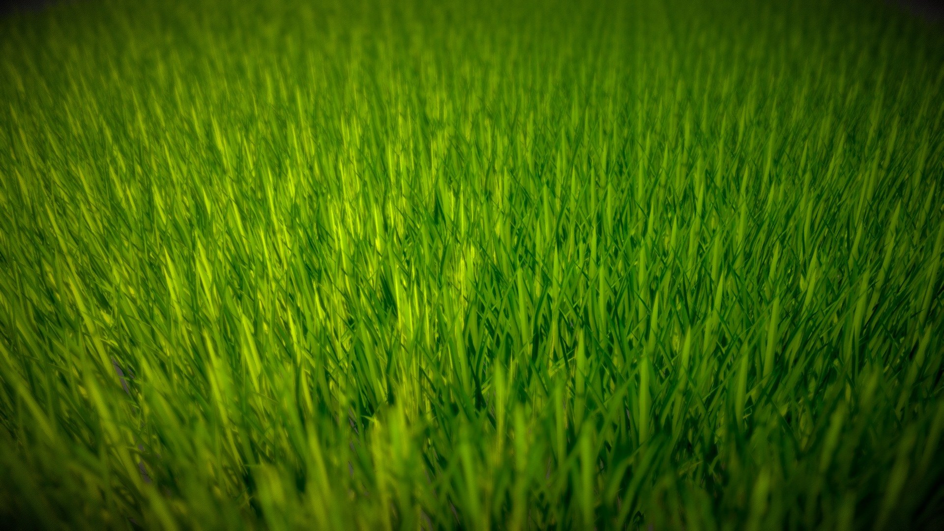 Green Field - Download Free 3D model by Somersby [106c2c5] - Sketchfab