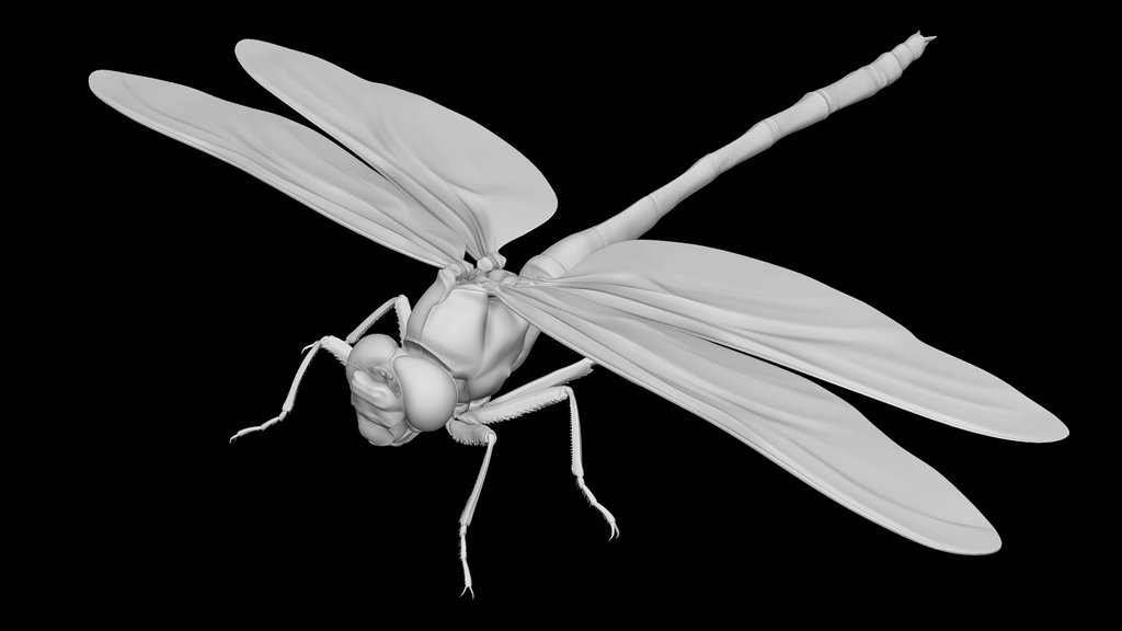 Insects - A 3D model collection by EOL1000 - Sketchfab