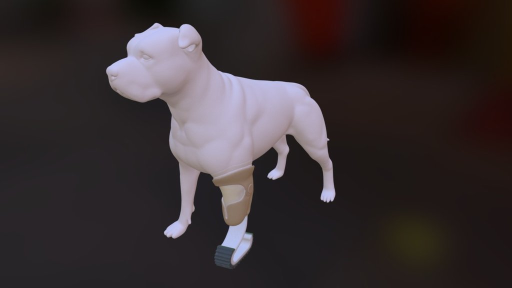 # 051 Dog Prosthetic 1 - 3D model by makerof3d [107016a] - Sketchfab